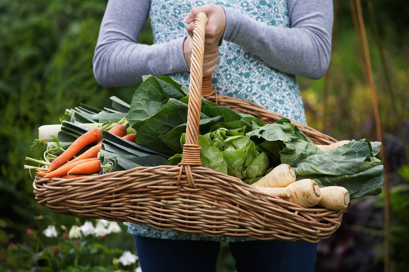 10 Home Garden Crops That Save You Money – The Busy Creative
